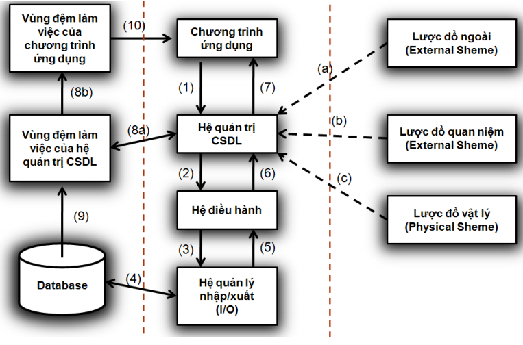 MySQL là gì? Tầm quan trọng của SQL là gì?
